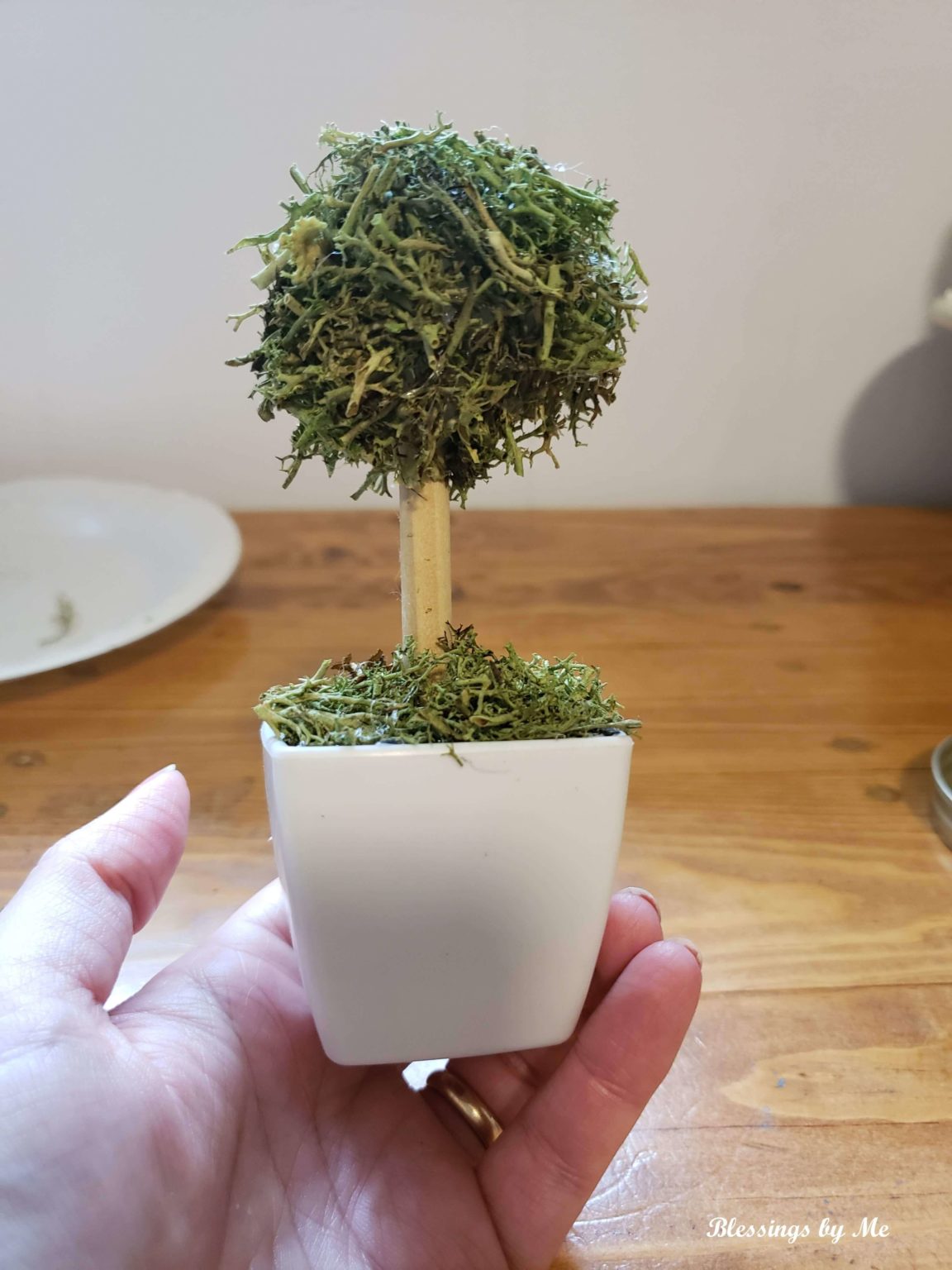 Mini Topiary Tree DIY - Dollar Tree DIYs - Blessings by Me